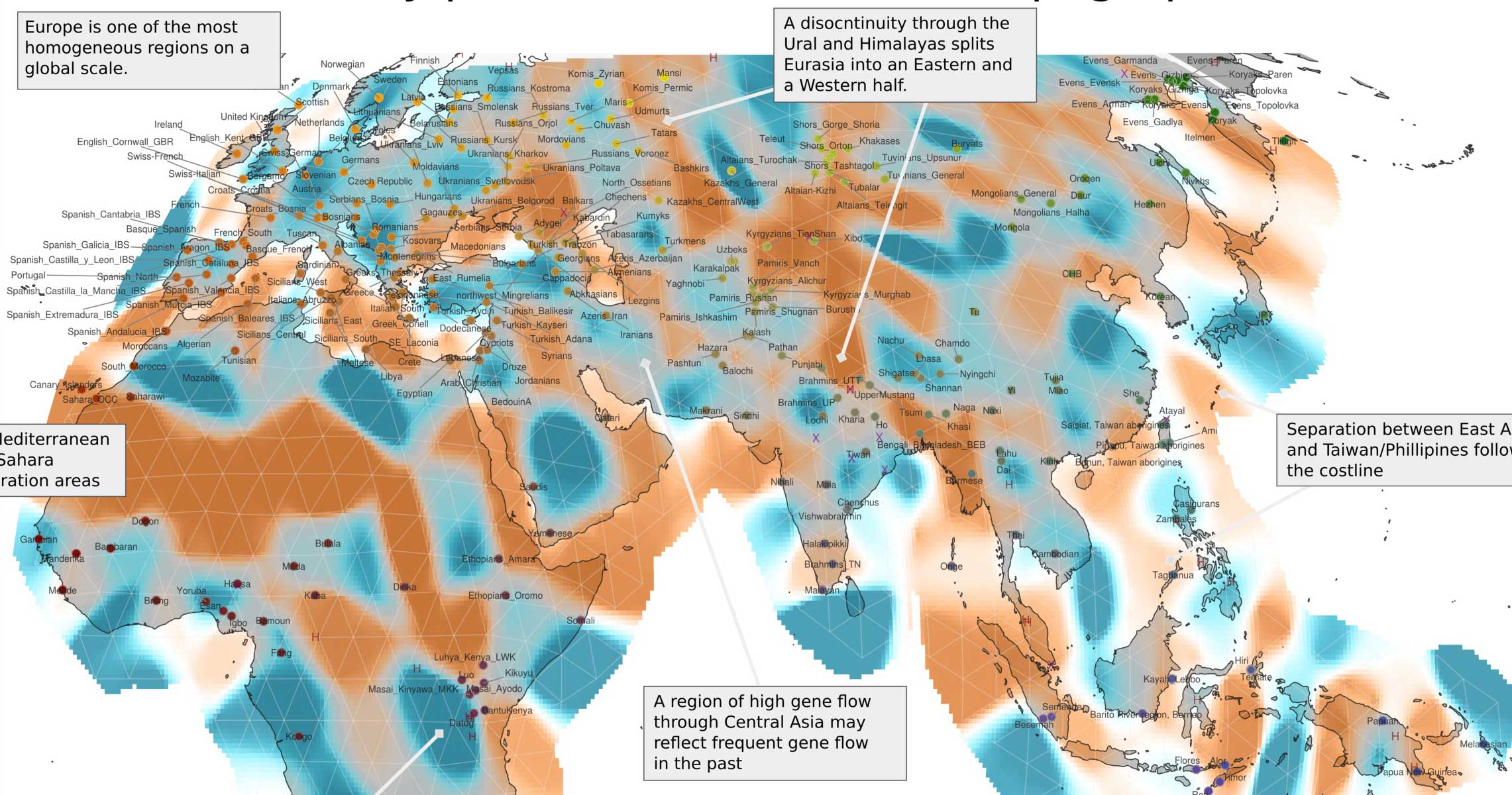 Effective migration in Western Eurasia reveals fine-scale migration ...